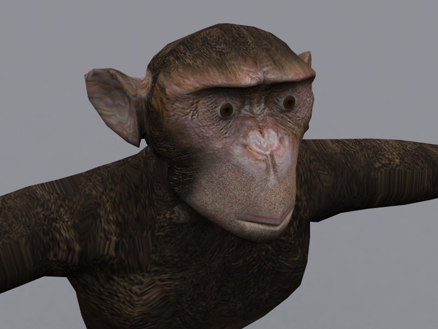 Monkey Animation Obj