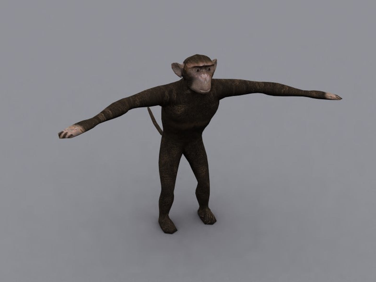 Monkey Animation Obj
