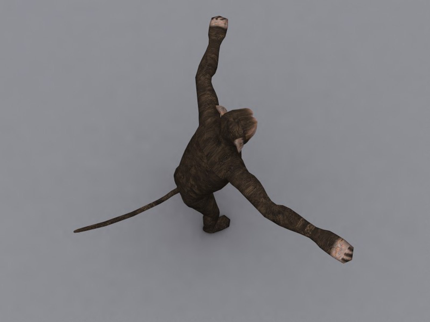 Monkey Animation Obj