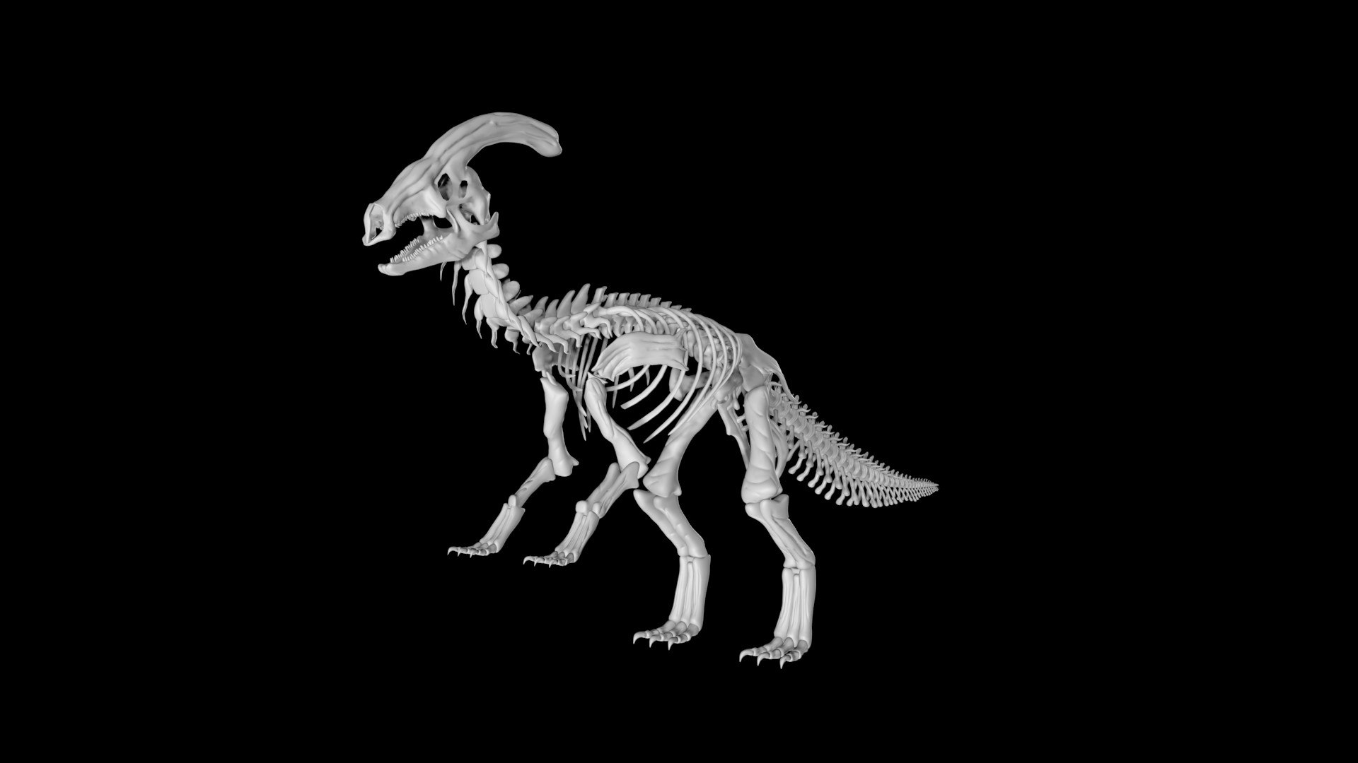 Parasaurolophus Skeleton 3D - TurboSquid 1878675