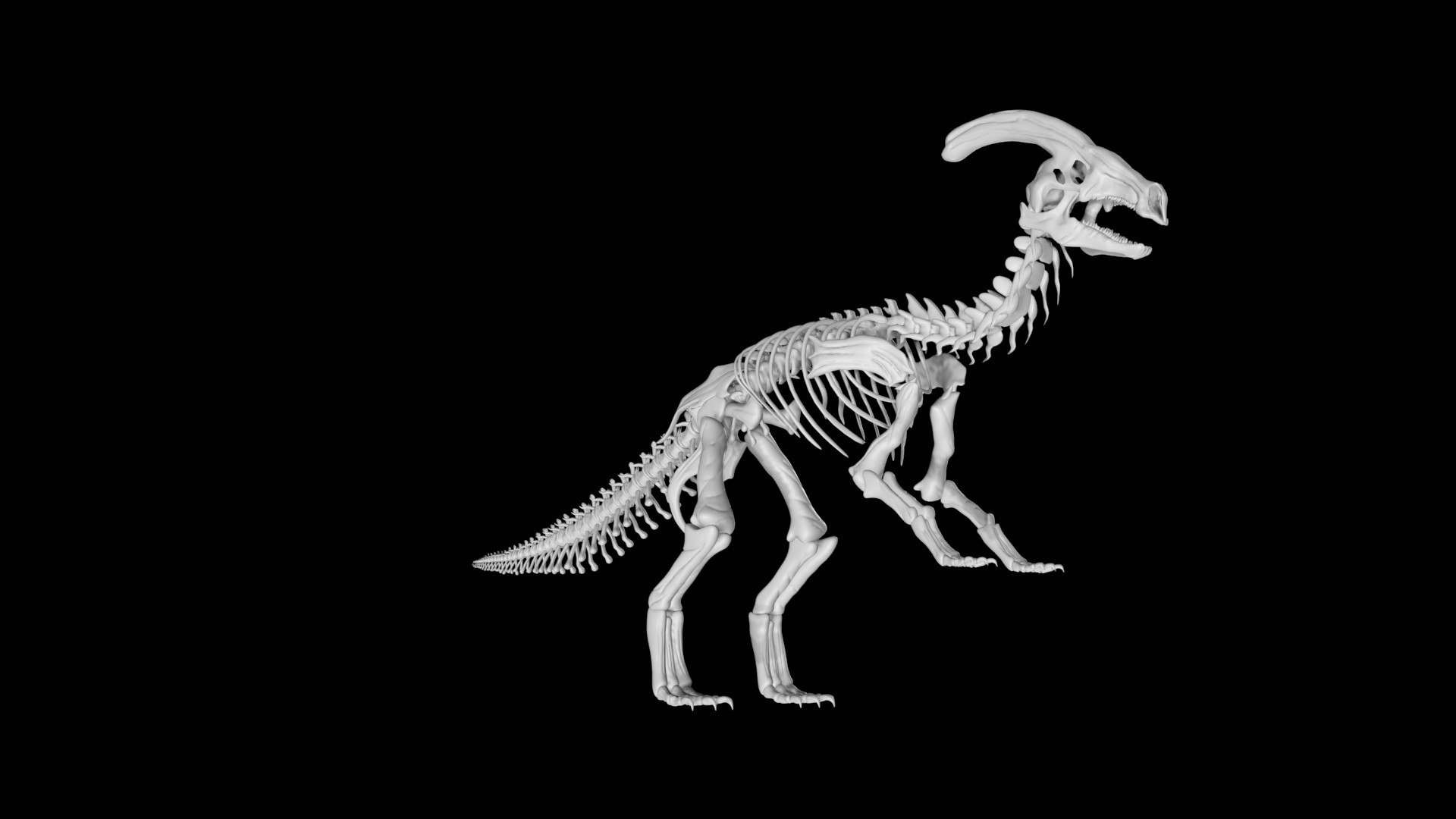 Parasaurolophus Skeleton 3D - TurboSquid 1878675