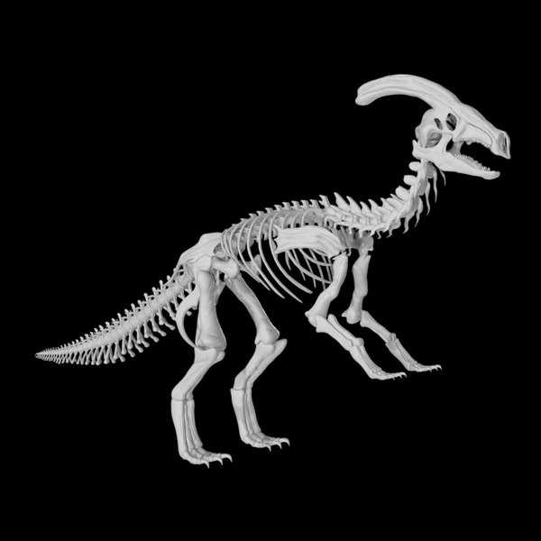 Parasaurolophus skeleton 3D - TurboSquid 1878675