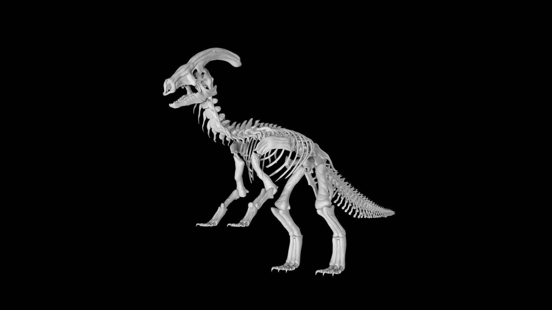Parasaurolophus Skeleton 3D - TurboSquid 1878675