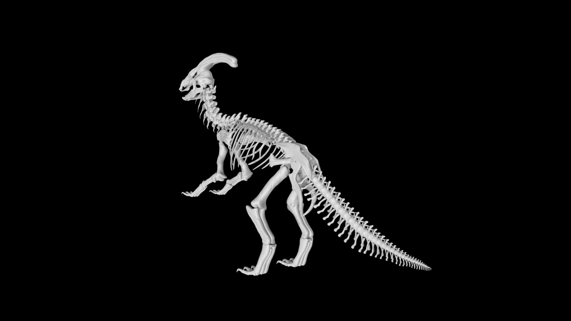 Parasaurolophus Skeleton 3D - TurboSquid 1878675