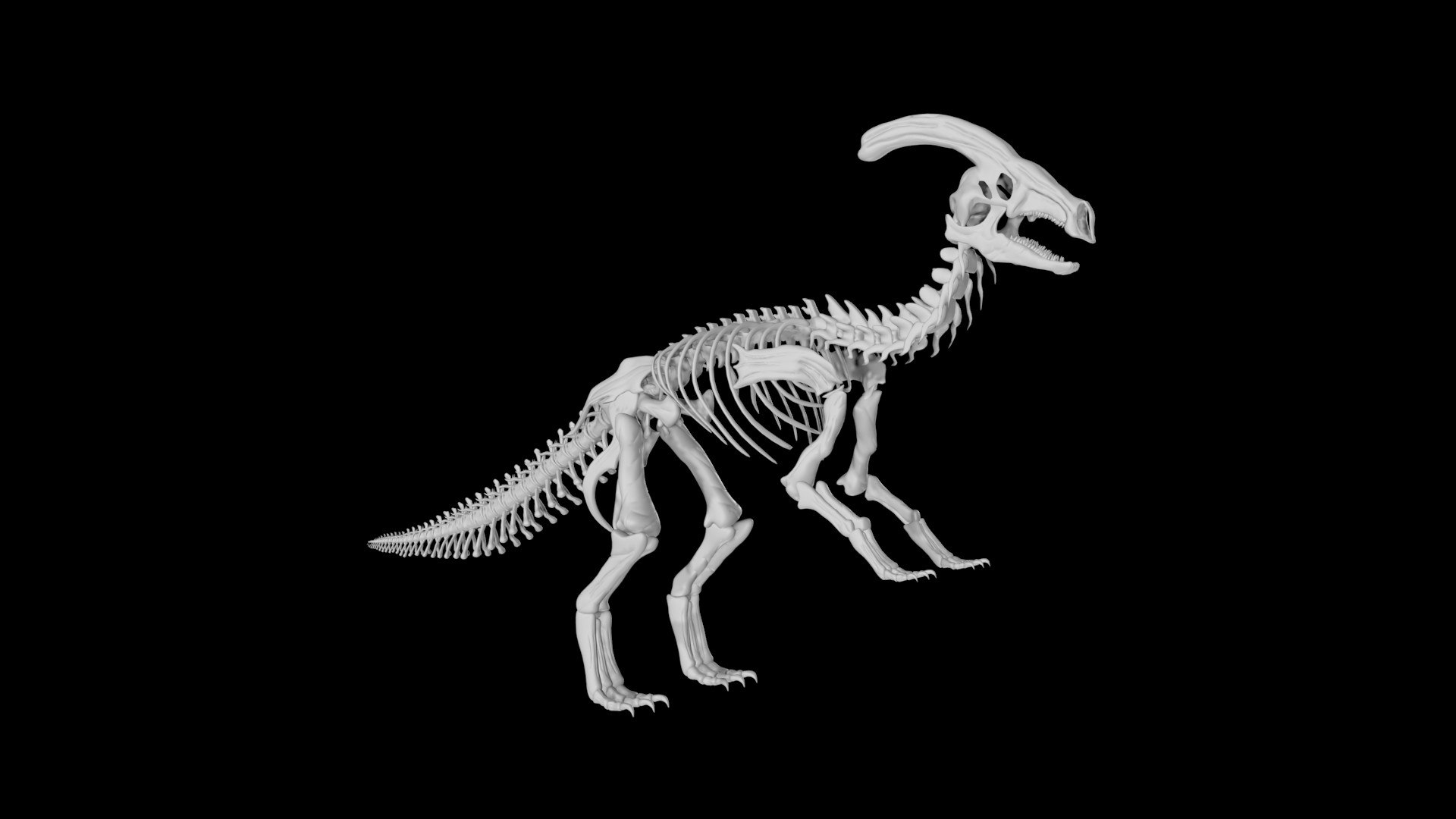 Parasaurolophus Skeleton 3D - TurboSquid 1878675