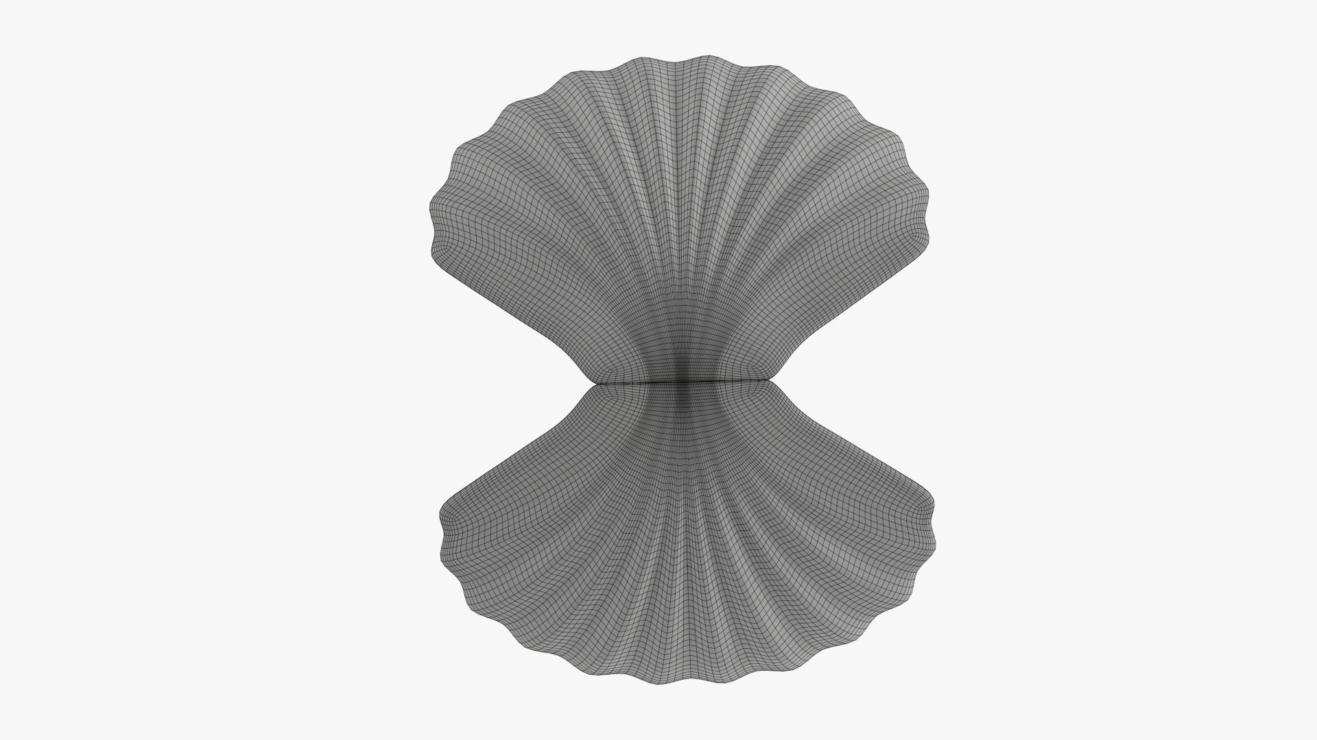 Shell Pearl Sea 3D Model - TurboSquid 1644699