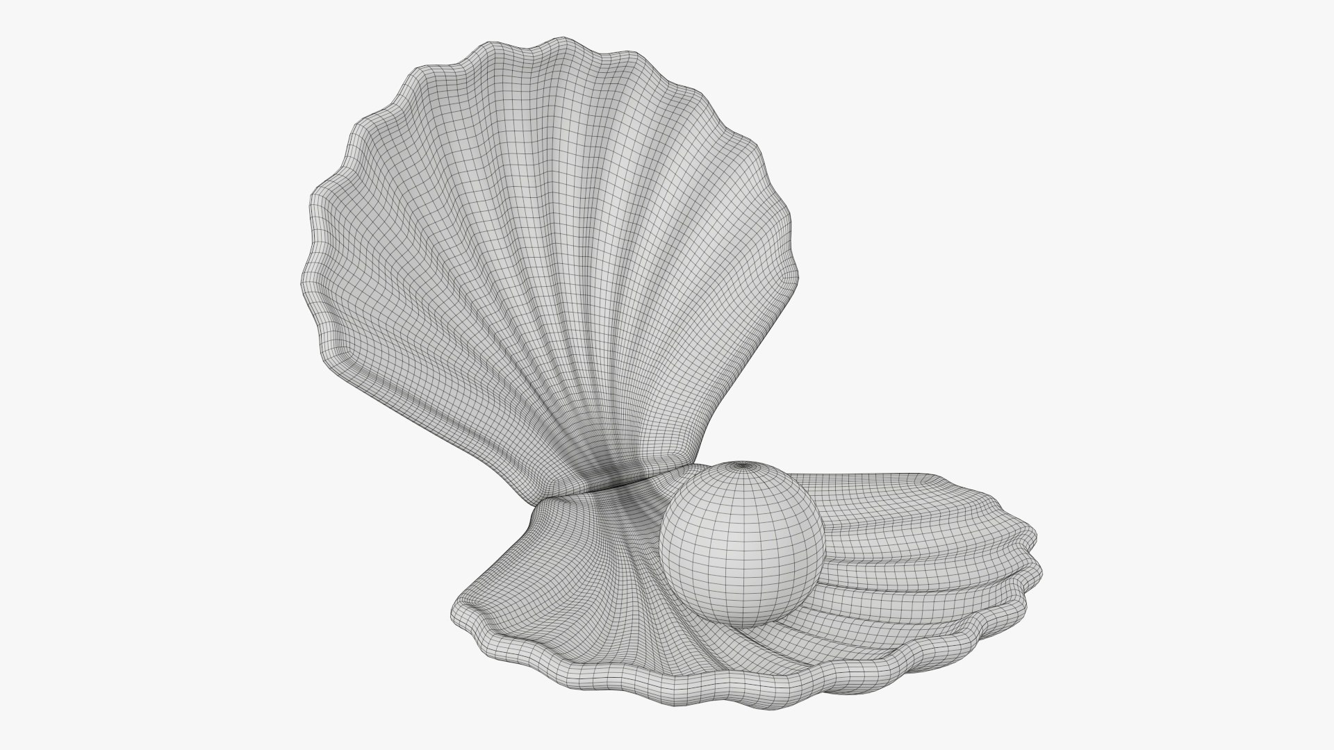 Shell Pearl Sea 3D Model - TurboSquid 1644699