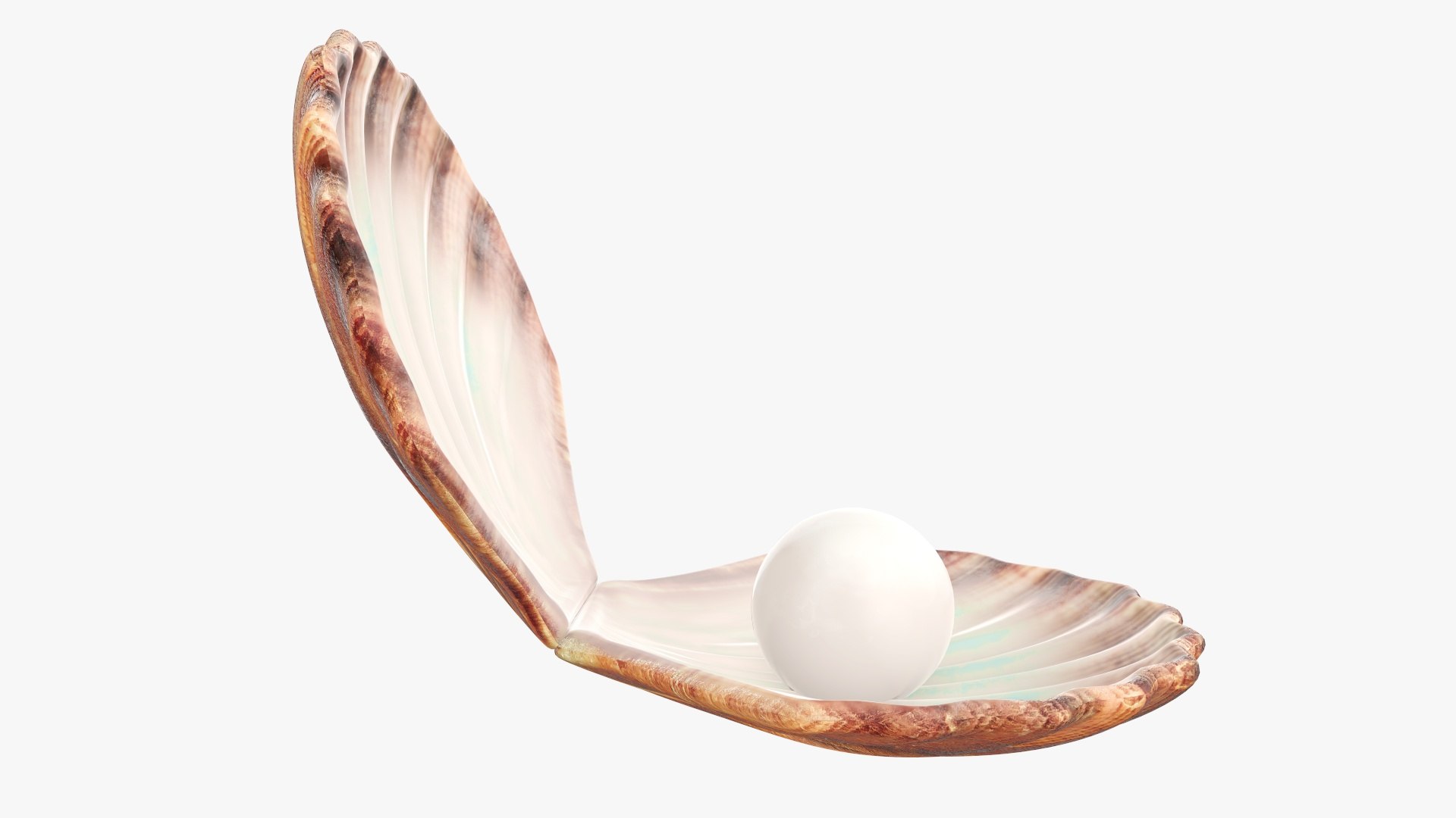 Shell Pearl Sea 3D Model - TurboSquid 1644699
