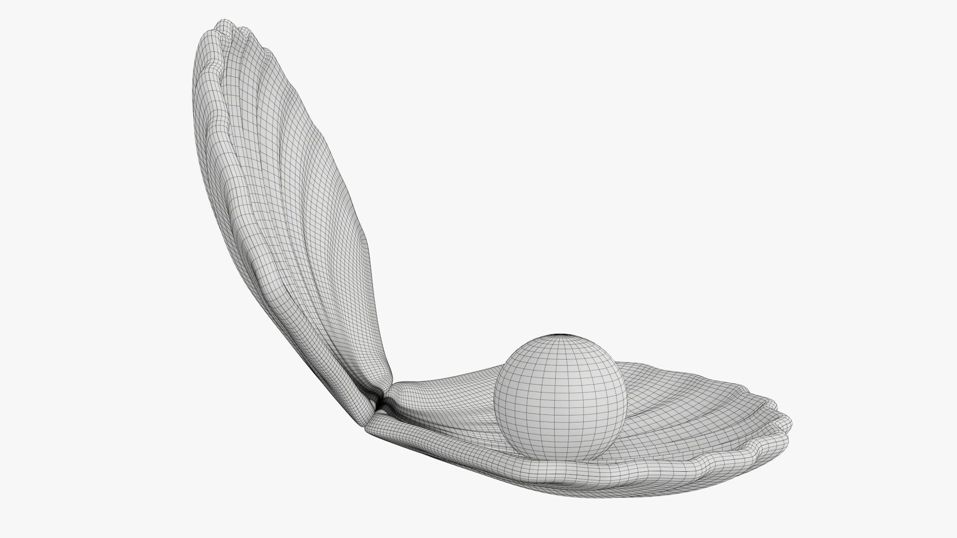 Shell Pearl Sea 3D Model - TurboSquid 1644699