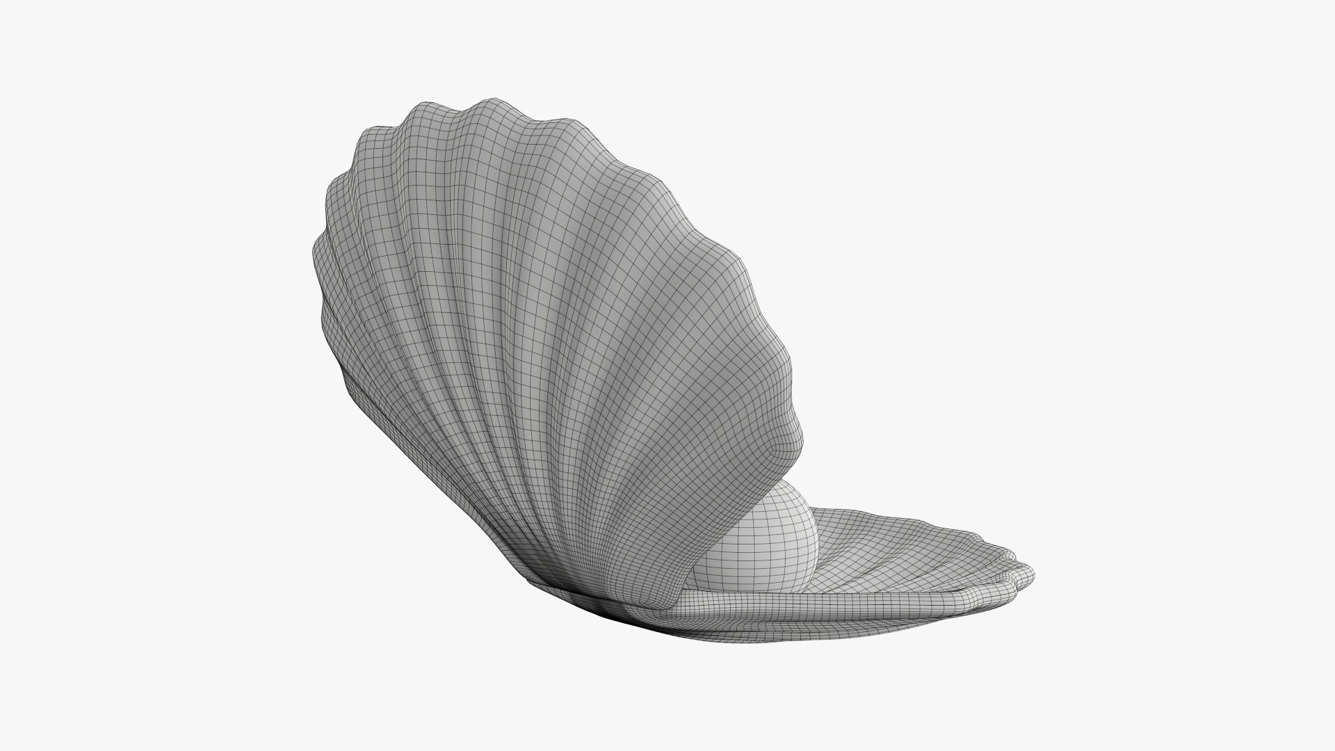 Shell Pearl Sea 3D Model - TurboSquid 1644699