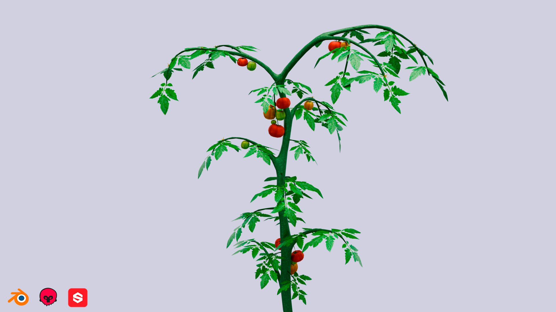Tomato Bush Low-poly 3D Model - TurboSquid 2183769