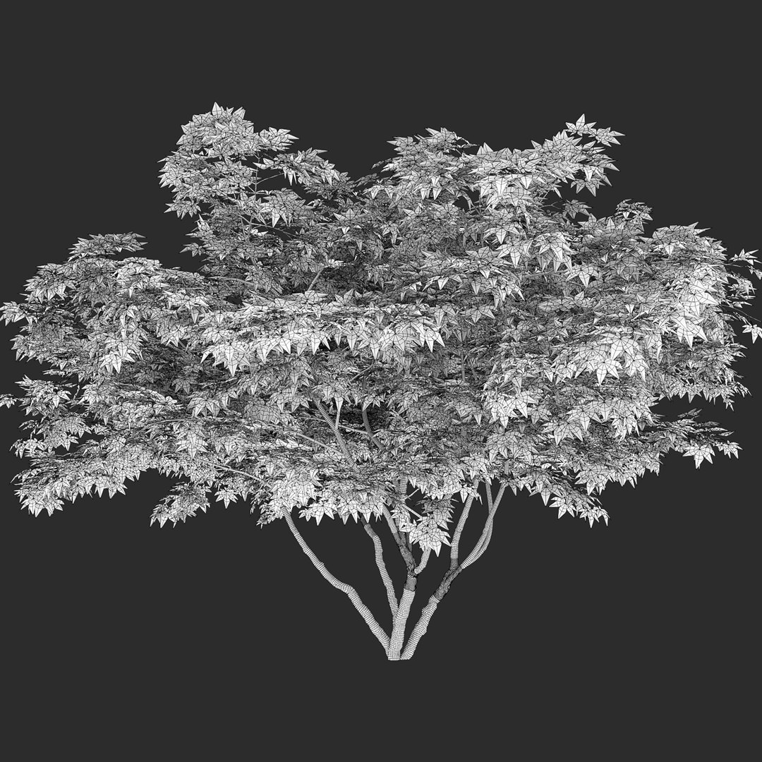 3D Tree Nature Model - TurboSquid 1687437