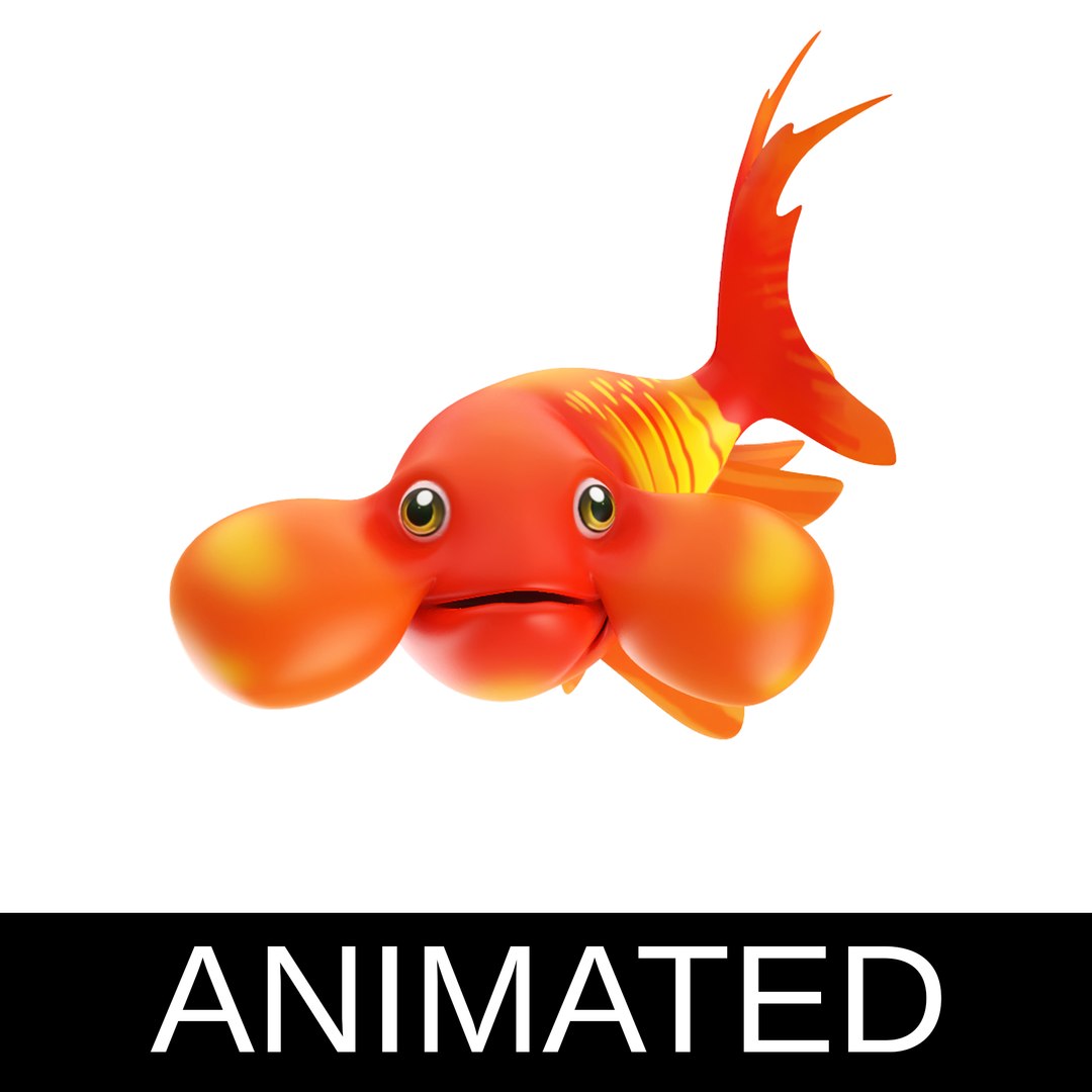 3D Bubble Eye Fish Toon - TurboSquid 1586181