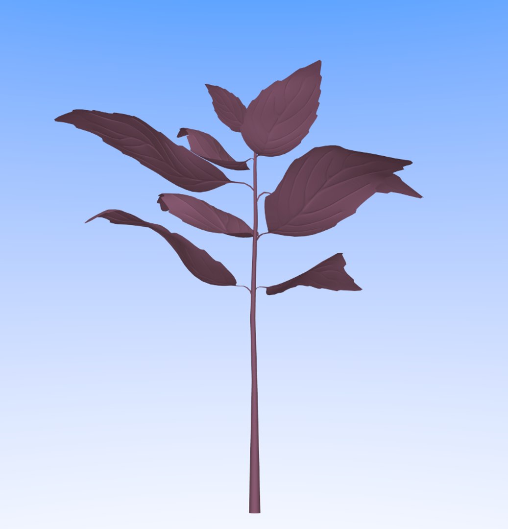 3D Basil Model - TurboSquid 1318299