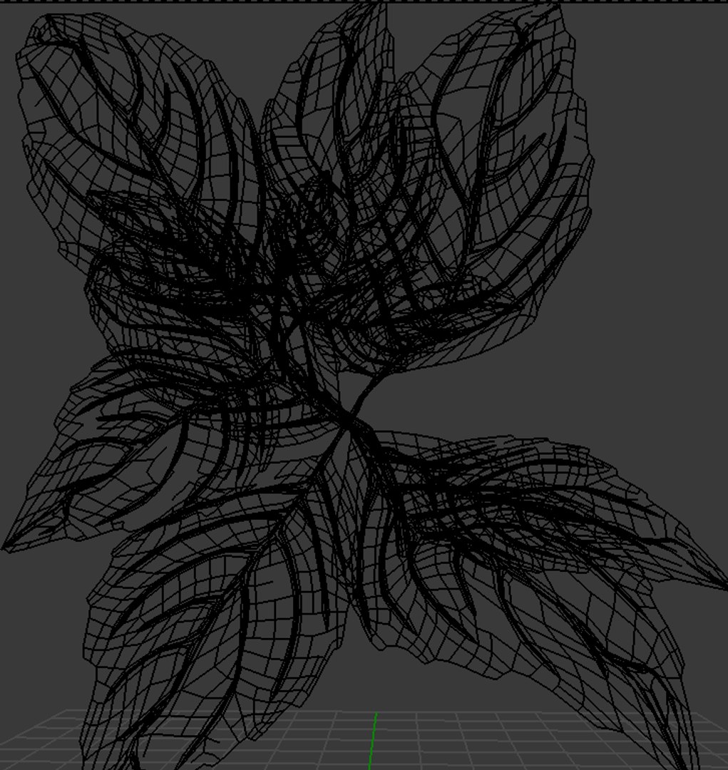 3D Basil Model - TurboSquid 1318299