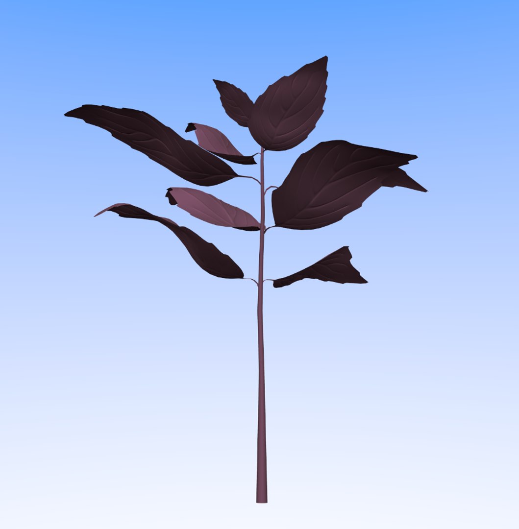 3D Basil Model - TurboSquid 1318299