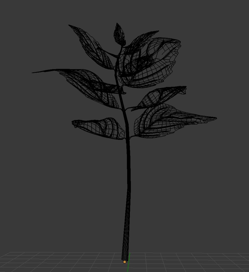 3D Basil Model - TurboSquid 1318299