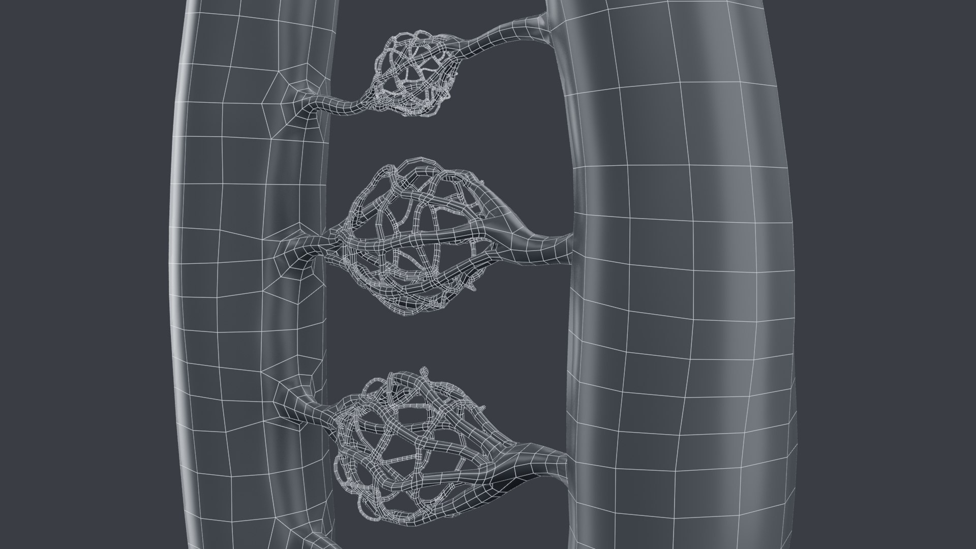 Capillary Blood Exchange Model - TurboSquid 2188547