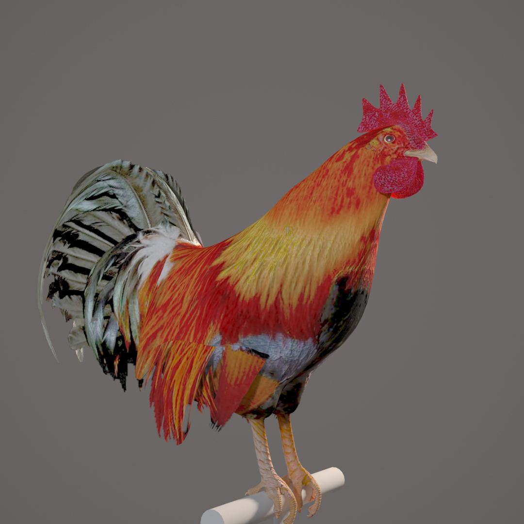 3d model rooster