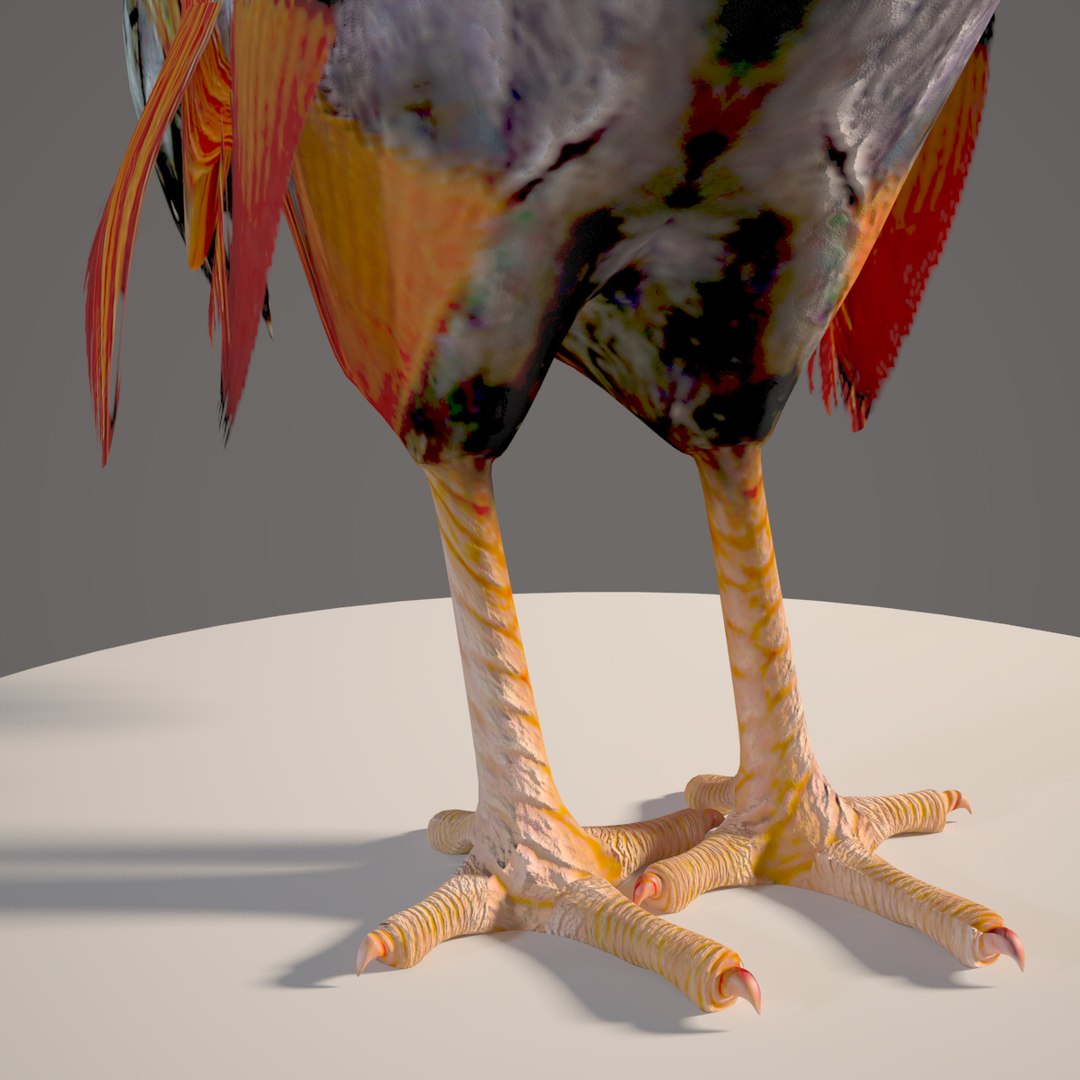 3d model rooster