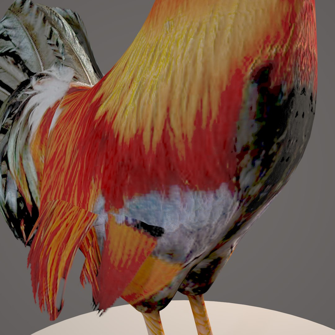3d model rooster