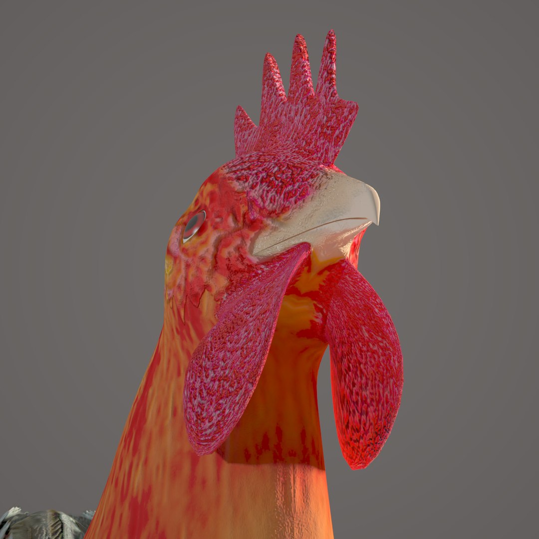3d model rooster