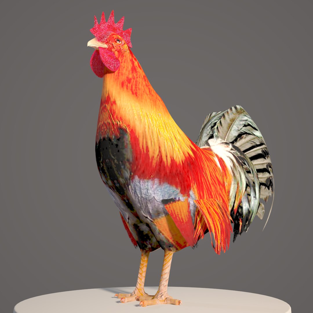 3d model rooster