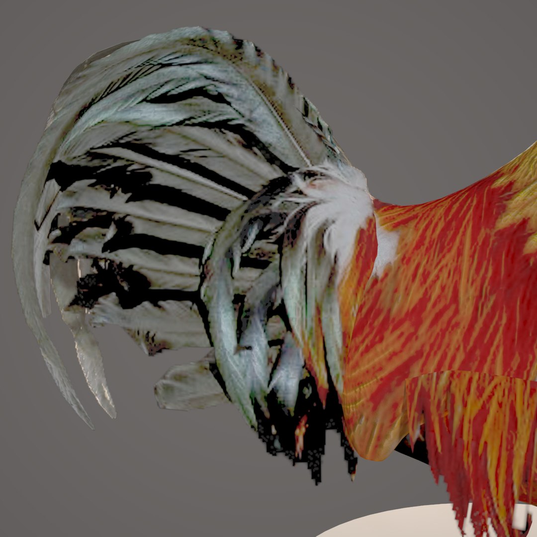 3d model rooster