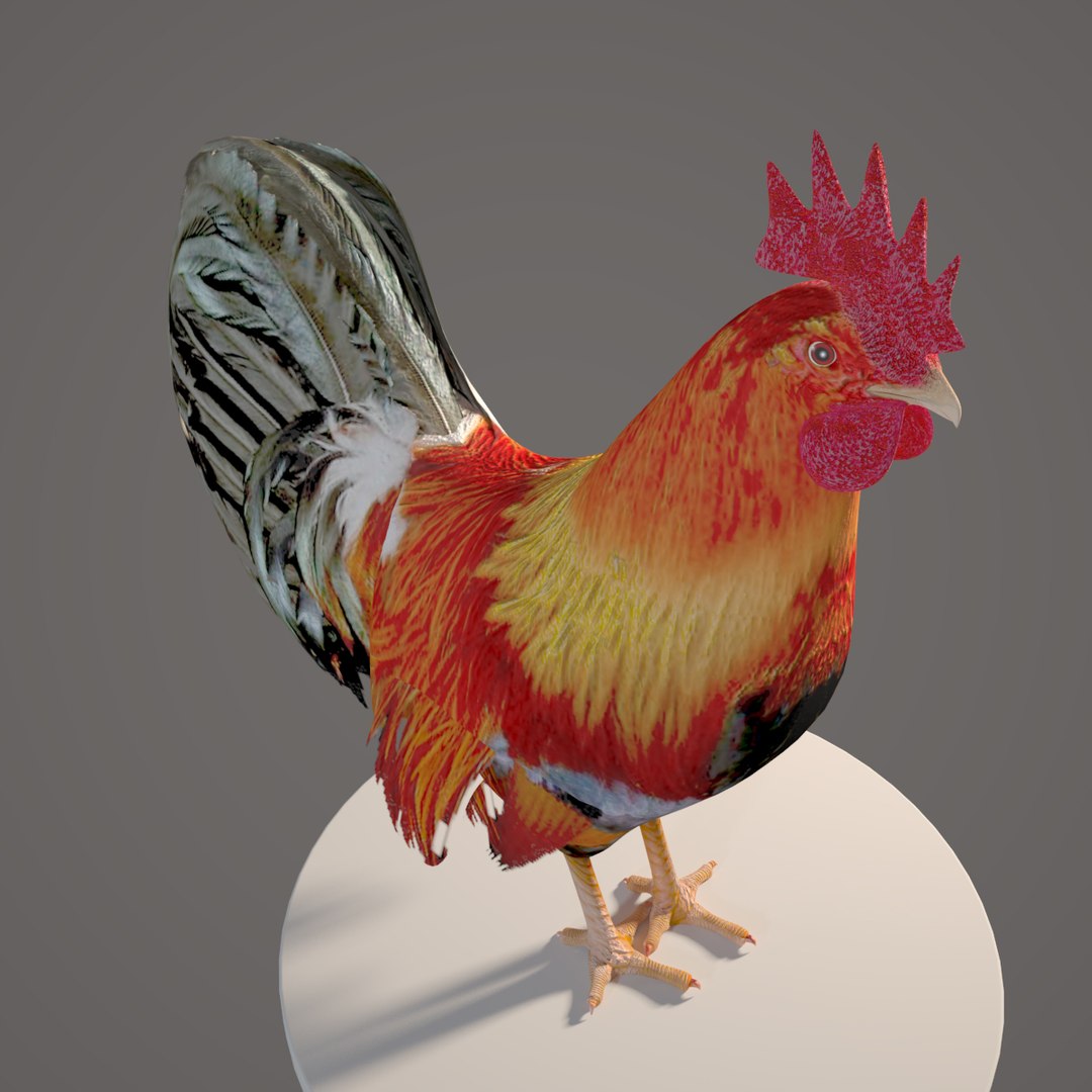 3d model rooster