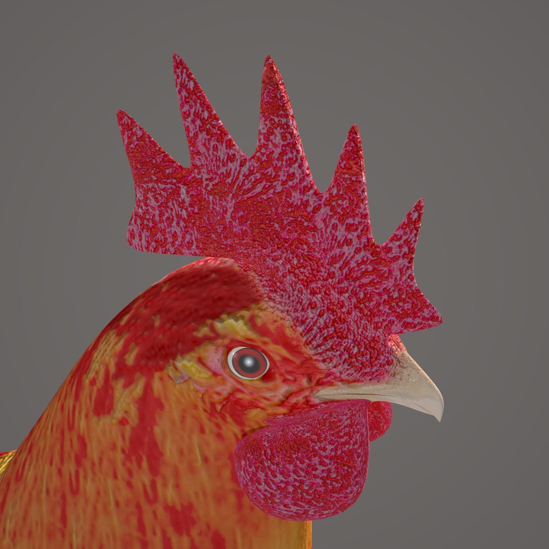 3d model rooster