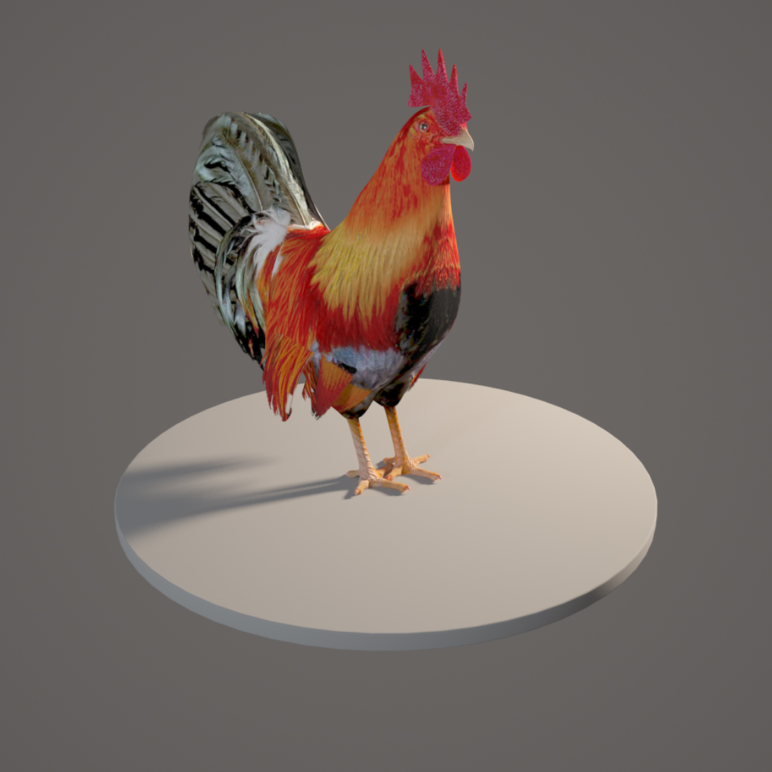 3d model rooster