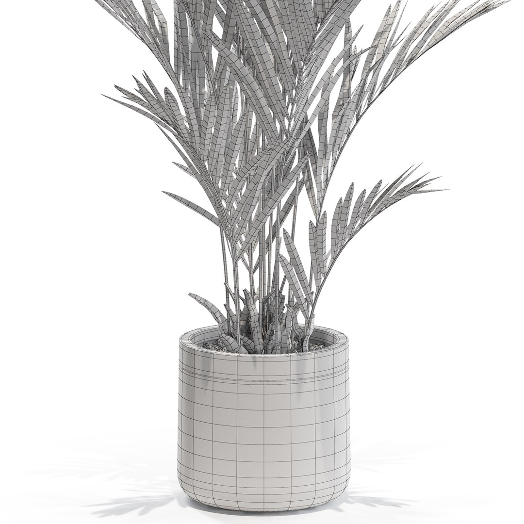 3D Model Plants Collection 561 - TurboSquid 1860145