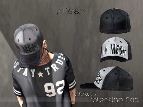 mesh cap 3d model