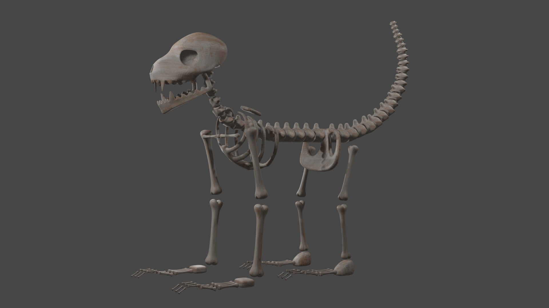 3D Animal Skeleton - TurboSquid 2415119