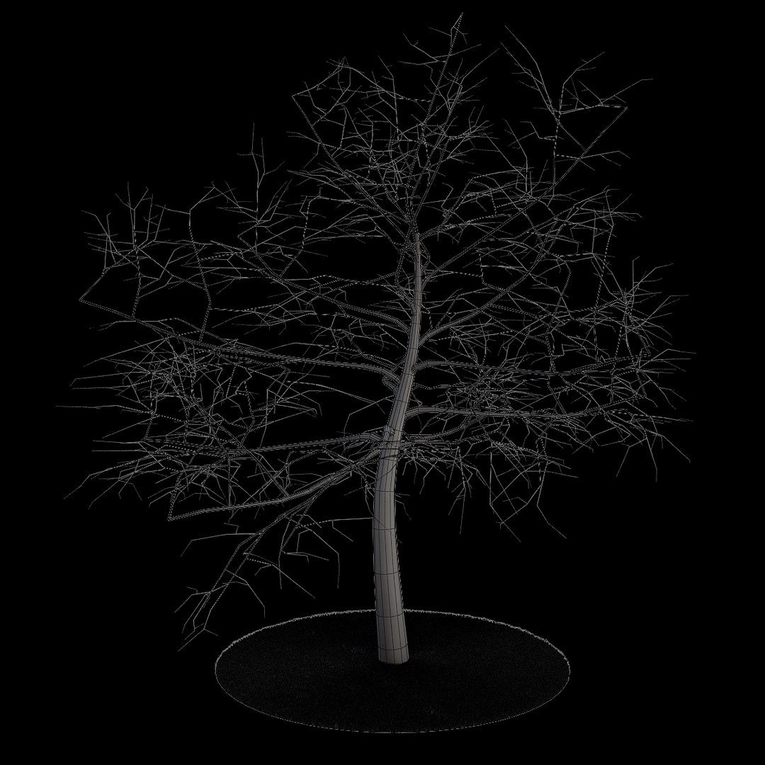 Tree 7 Branches 3d Model