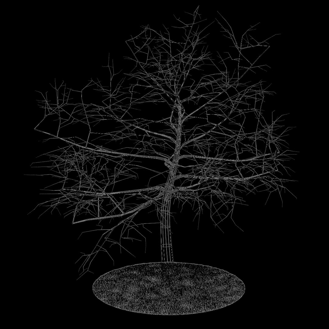 Tree 7 Branches 3d Model