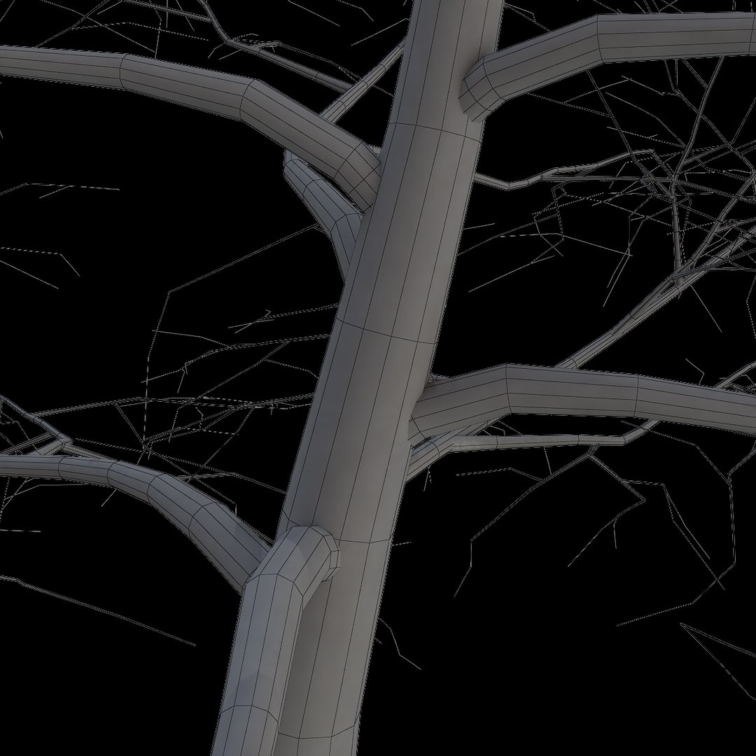 Tree 7 Branches 3d Model