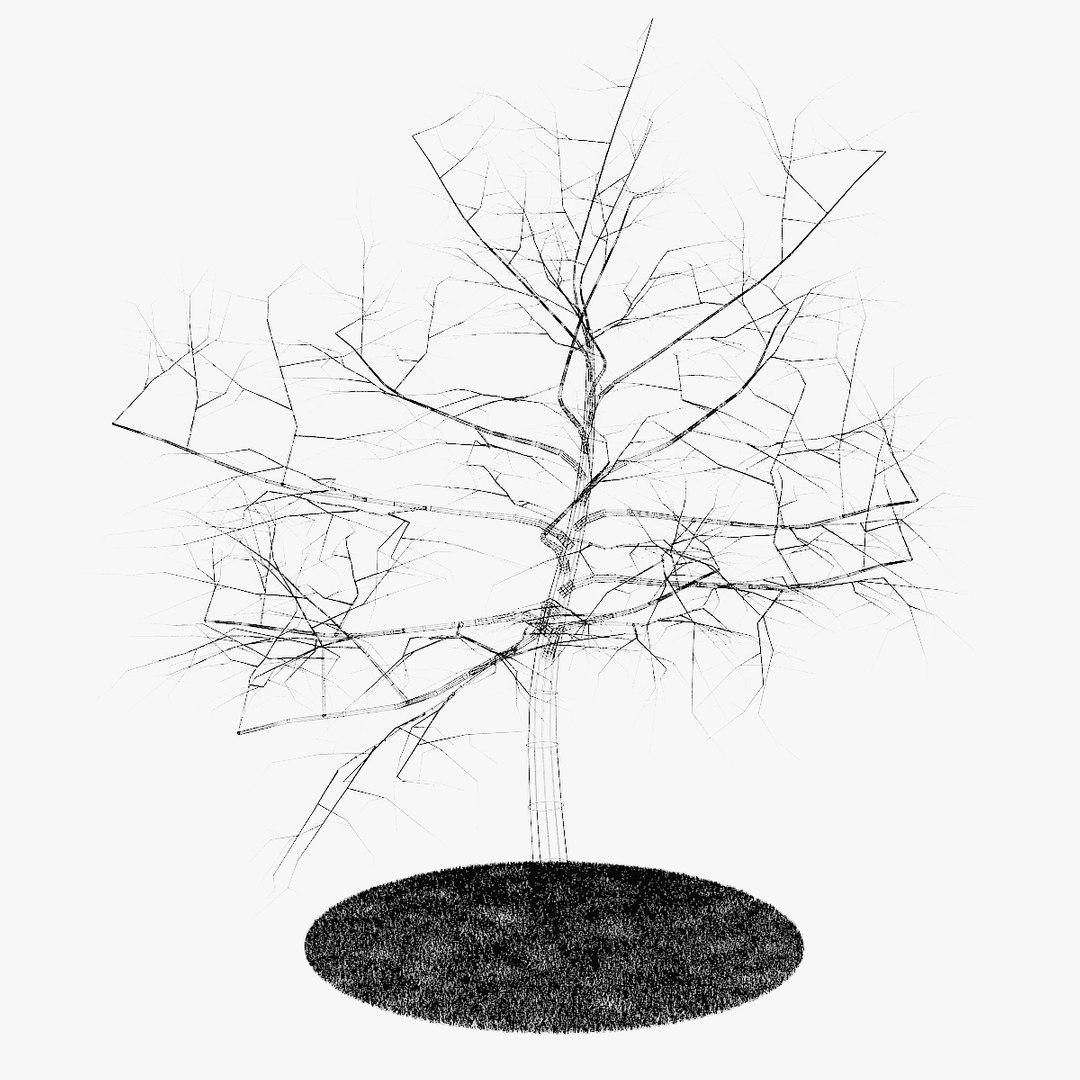 Tree 7 Branches 3d Model