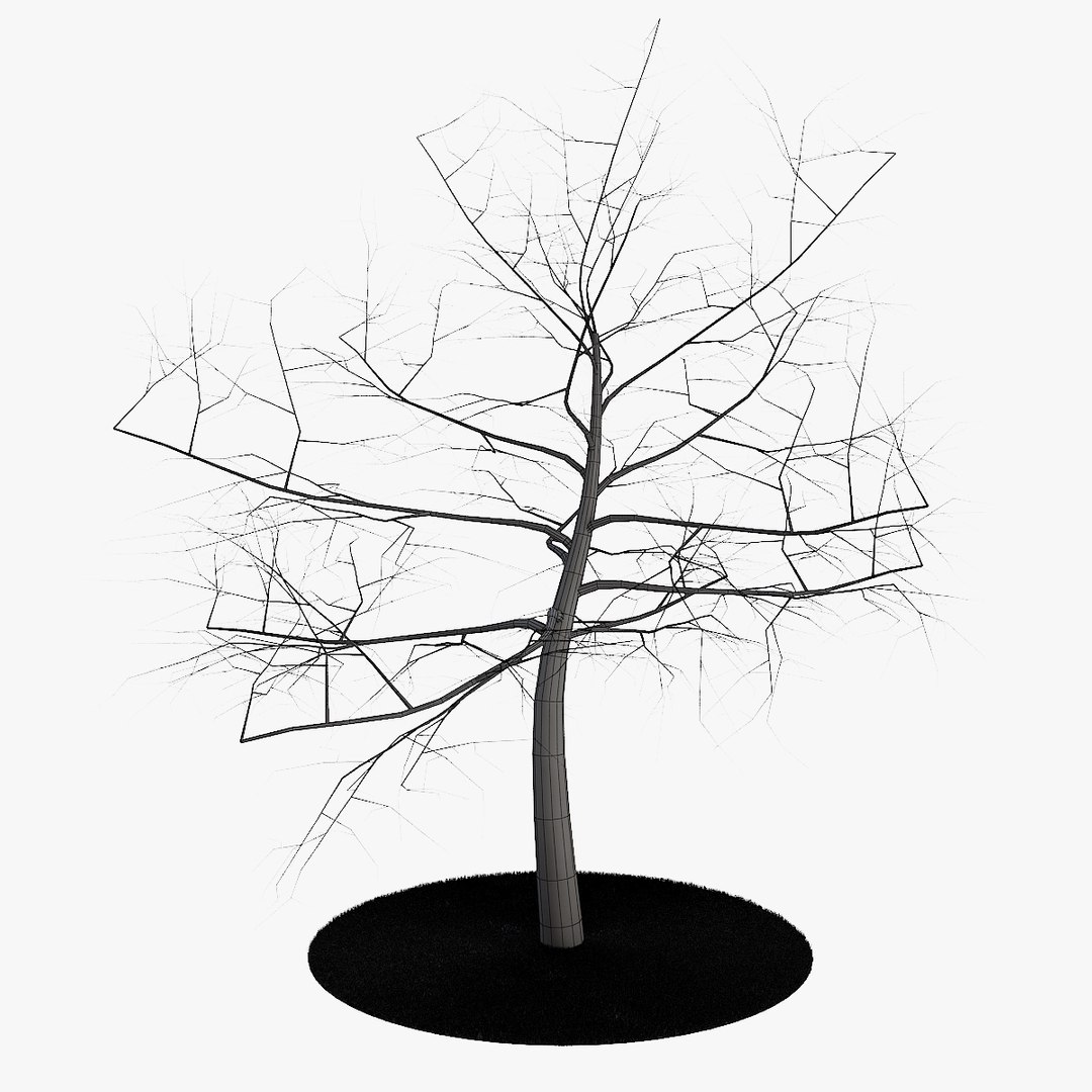 Tree 7 Branches 3d Model