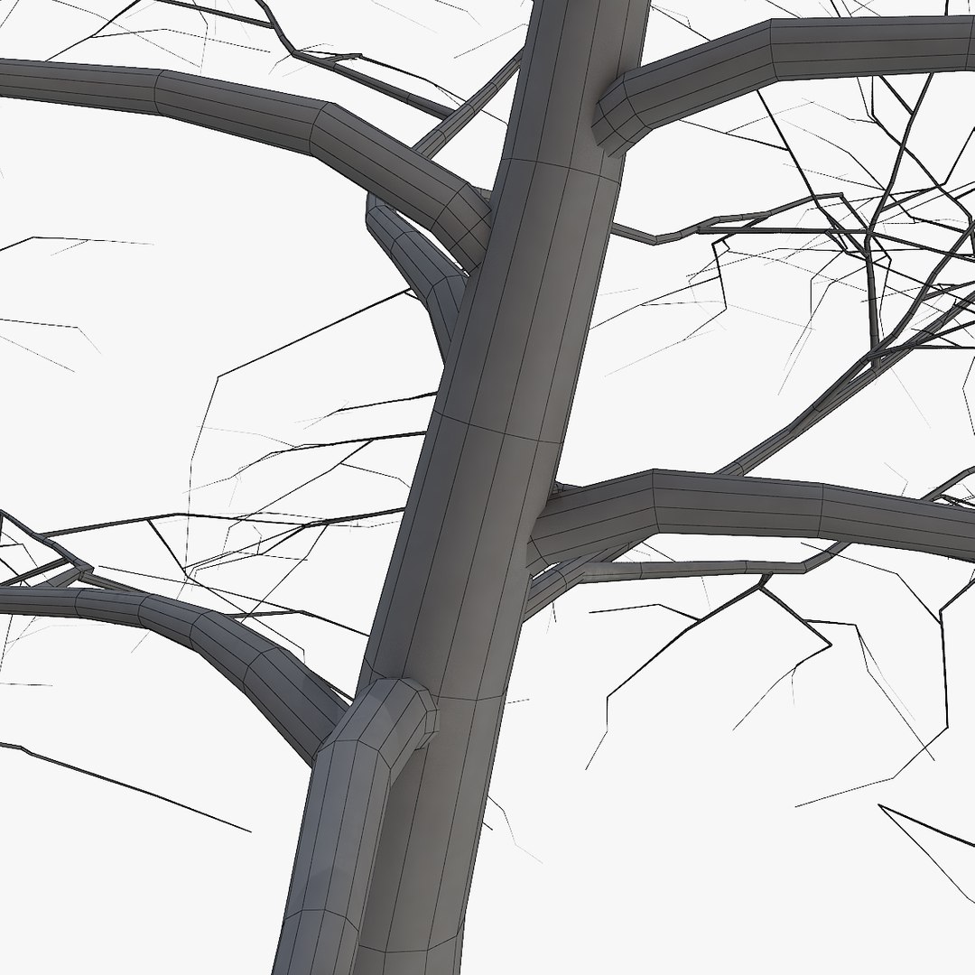 Tree 7 Branches 3d Model