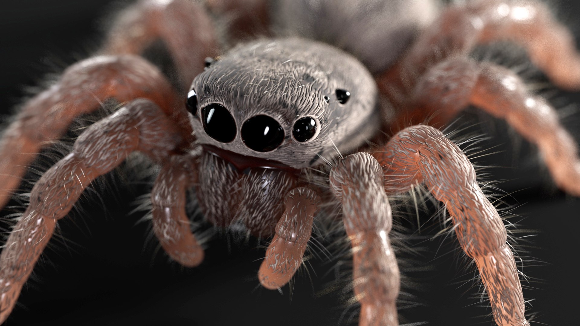 3D Jumping Spider - TurboSquid 2253370