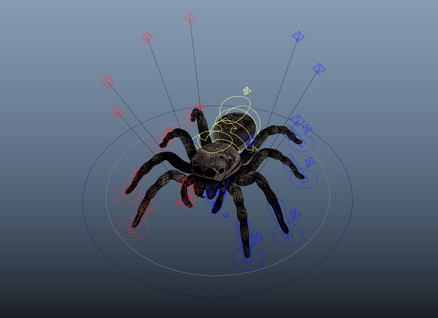 3D Jumping Spider - TurboSquid 2253370