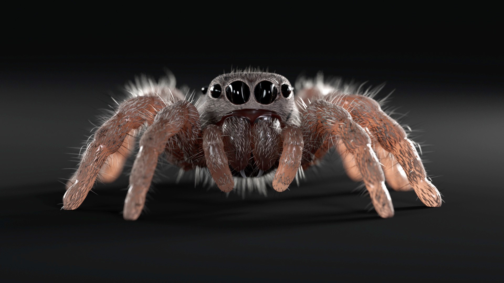 3D Jumping Spider - TurboSquid 2253370