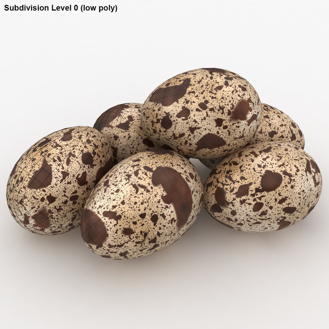 max realistic quail eggs pose