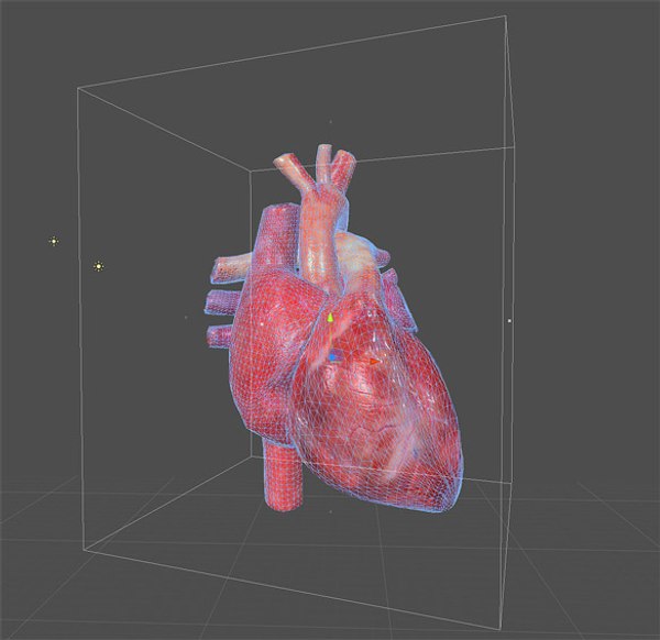 human heart 3d 3ds