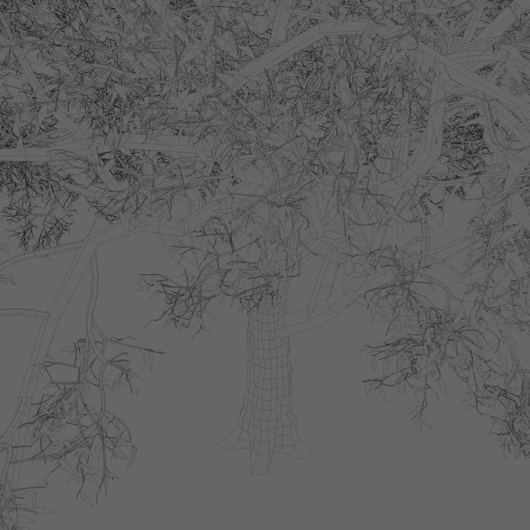 3D Sycamore Tree - TurboSquid 1288218