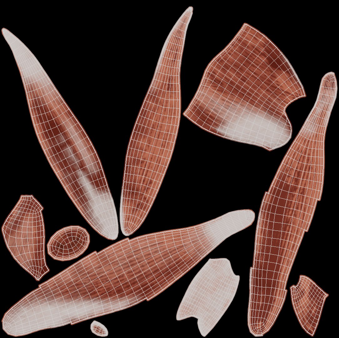 3D Human Anatomy-Back Muscles Of Arm Model - TurboSquid 2217205