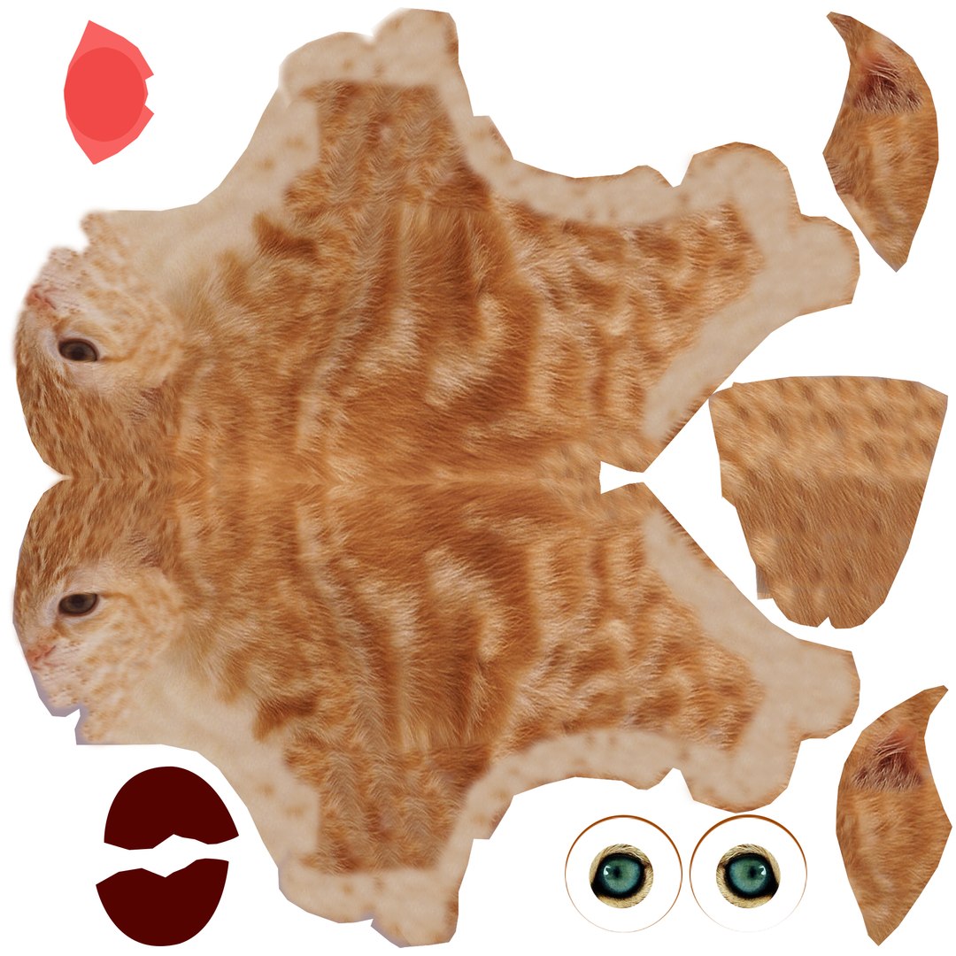 3D Cute Cat Model - TurboSquid 1220806