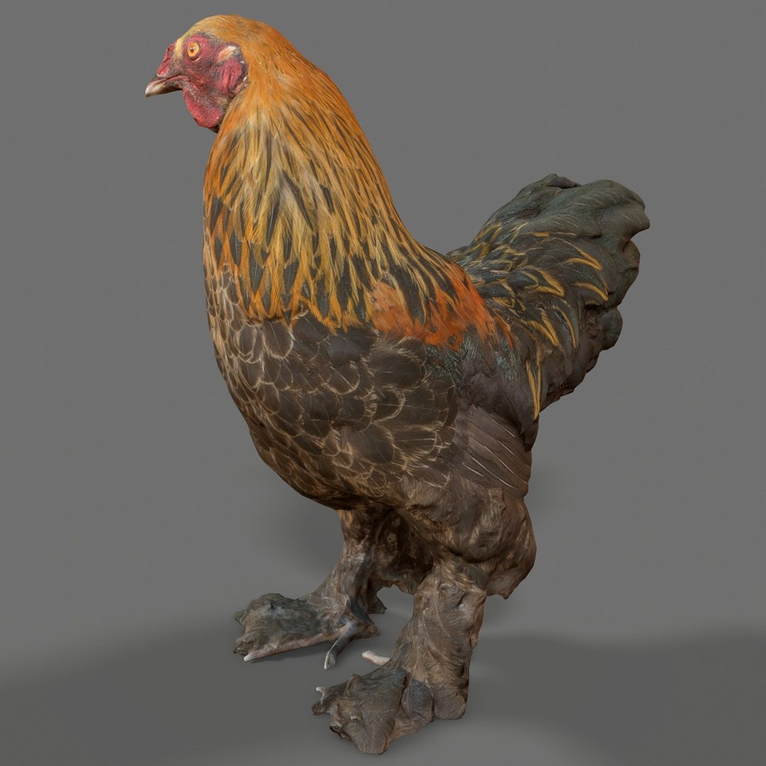 Animal Scanned Unity 3D - TurboSquid 1171938