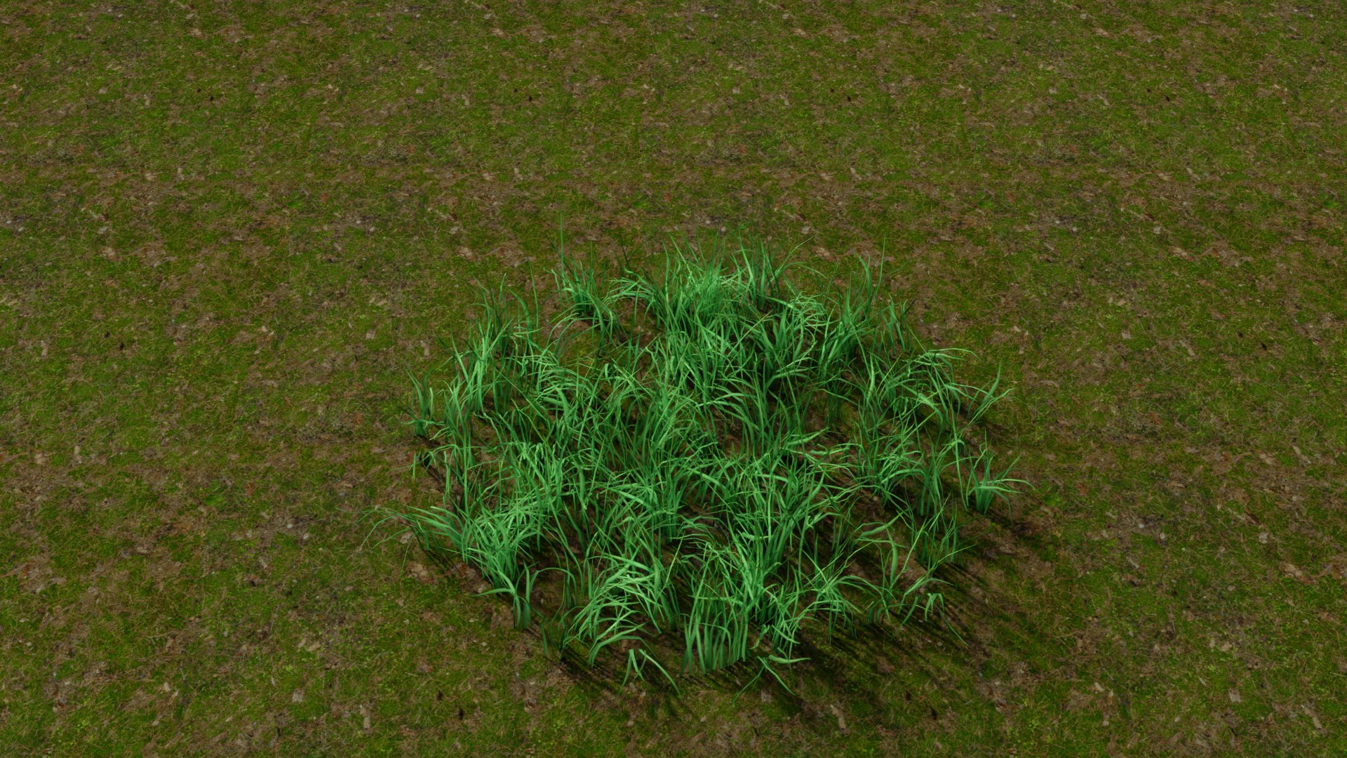 Grimdesigns Grass Vol 2 3D Model - TurboSquid 2157584